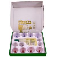China Double Transparent Plastic Vaccum Wholesale Cupping Cups Set Cupping Hijama Cups For Cupping for sale