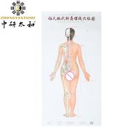 China Individualized Acupuncture Culture Harnessing Body's Natural Healing Abilities With Acupuncture for sale