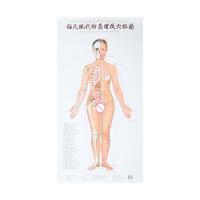 China Body Meridian Acupuncture Culture Modern Acupuncture And Embedding Point for sale