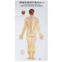 China Body Meridian Acupuncture Culture Modern Acupuncture And Embedding Point for sale