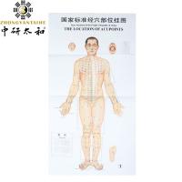 China Body Meridian Acupuncture Culture Modern Acupuncture And Embedding Point for sale