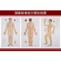 China 3pcs Meridian Acupuncture Chart ISO Acupuncture Culture for sale