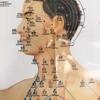 China 3pcs Meridian Acupuncture Chart ISO Acupuncture Culture for sale