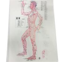 China English Acupuncture Wall Chart 7PCS Per Set Human Acupuncture Chart for sale
