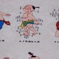 China Rice Paper Scroll Chinese Medicine Charts Suitable Mirror Screen for sale