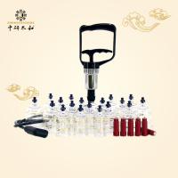 China Vacuum Suction 19 Cups Sets Hijama Cupping Therapy Cellulite Massage Back  Relief Chinese for sale