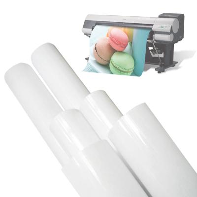 China 17 Inch 260gsm Large Format Photo Paper Vivid Image In 30M Roll for sale