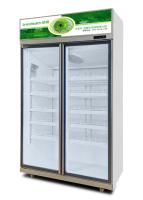China Customization Low E Glass Upright Commercial Beverage Cooler Rapid Cooling for sale