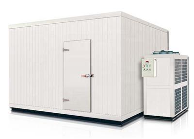 China -20 Degree Cold Storage Warehouses For Chicken Fish Fruit Vegetables Meat for sale