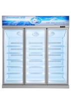 China -22 Adjustable Shelves Meat Shop Food Display Refrigerator Freezer Factory for sale