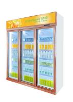 China GreenHealth LG Series 1 / 2 / 3 Glass-Door No-Fog Cold Drink Chiller 2–8°C Commercial Fridge for sale