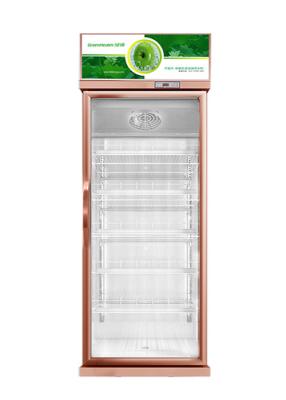China OEM Automatic Defrost Commercial Beverage Cooler Glass Door Display Refrigeration for sale