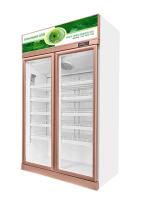 China 2520L N Glass Door No Drops Soft Drink Display Chiller For Store 2 To 8C for sale