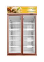 China Visi Chiller Commercial Beverage Fridge 5 Shelves Auto Defrost for sale