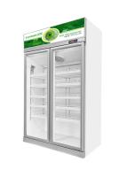 China Double Door Commercial Display Freezer Supermarket Refrigerated Showcase for sale