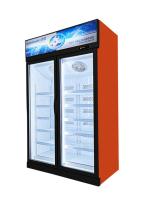 China Refrigeration Equipment Supplies Vertical Display Freezers With R290a 450L for sale