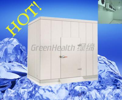 China 50 - 200mm Thickness Pu Sandwich Panel Cold Storage Chamber Flame Resistance for sale