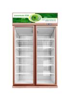 China R290 Beverage Display Cooler Vertical Glass Door Fridge Champagne Color for sale
