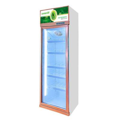 China 452L 1 Door Commercial Beverage Cooler Upright Display Bar Fridge Champgne Color for sale