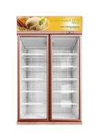 China 1008L R134a Double Door Refrigerator Beverage Liquor Display Cooler for sale