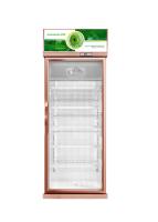 China R134a Commercial Display Freezer Glass Door Luxury Upright Refrigerator For Beverage Wine for sale
