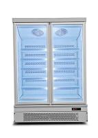 China Commercial Display Freezer with 1000L Capacity Auto Defrost and Fan Cooling for Supermarkets for sale