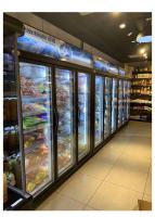 China Upright Glass Commercial Display Freezer Frequency Conversion Energy Saving for sale