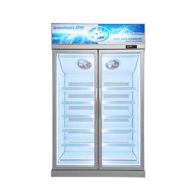 China Chain Store Adjustable Shelving 2 Glass Door Freezer for Frozen Food with Fan Cooling for sale