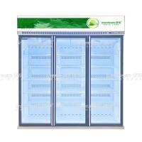 China Auto Evaporated Defrosting Water Commercial Beverage Cooler For Cold Drink for sale