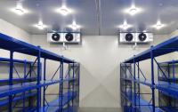 China PU Panels Cold Storage Room Walk-In Freezer Modular Cold Rooms With Different Temperature for sale