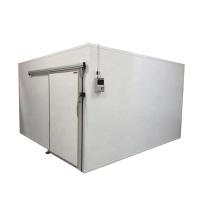 China R404a Refrigerant Home Cold Storage Room Sliding Door For Shrimp for sale