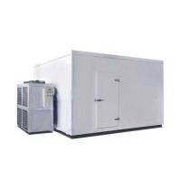 China Custom Cold Storage Walk-In Freezer With Smart Temperature Control for sale