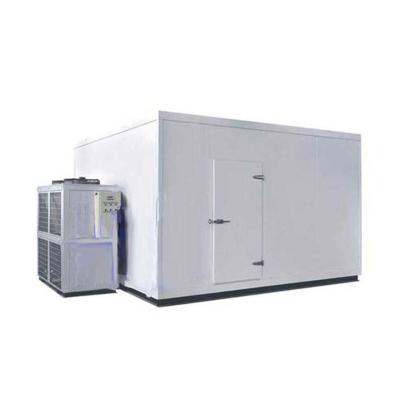 China Custom Cold Storage Walk-In Freezer With Smart Temperature Control for sale