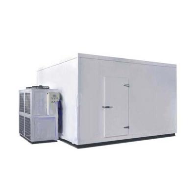 China Energy Saving Big Capacity Walk In Cold Storage Room For Vegetables / Fish for sale