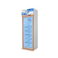 China -22℃ Single Door Commercial Upright Display Freezer With 500L Stable Performance for sale