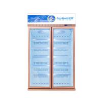 China -22℃ Single Door Commercial Upright Display Freezer With 500L Stable Performance for sale
