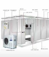 China Hard Polyurethane Foam Cold Storage Room For Vegetable / Fruit / Meat / Fish And Air Cooling Approach for sale