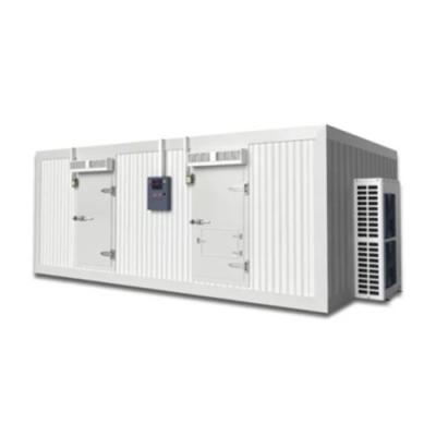 China Energy Efficient Cold Storage Room With High Performance PU Panels for sale