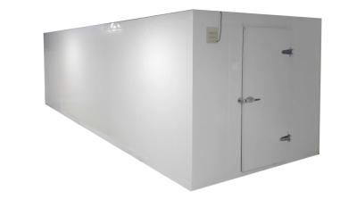 China Meat Freezer Storage Food Storage Solutions Customizable Walk-in Freezer Room for sale