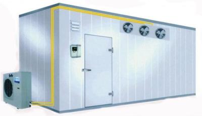China Fire-Resistant Cold Room R404a Refrigerant Big Capacity Freezer Room for sale