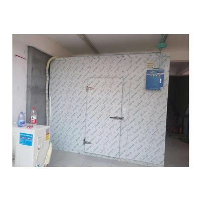 China High Quality Locked Large Commercial Storage Cold Storage Cold Room for sale