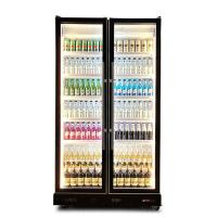 China Supermarket Commercial Two Glass Doors Multiple Adjustable LED Lights Beverage Display Freezer for sale
