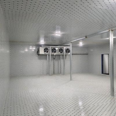 China Big Capacity Food Cold Storage Room Walk-In Cold Rooms With Refrigeration System for sale