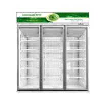 China Commercial Silver Overhead Unit Beverage/Liquor Refrigerated Storage Display Freezer for sale