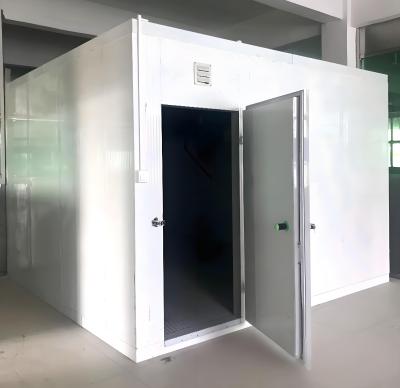 China Pu Panel High Quality Commercial Walk In Cold Storage Freezer For Fruits And Vegetables for sale