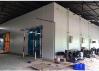 China Guagnzhou Commercial Walk In Chamber Cold Storage Cooler Refrigerator For Fruits And Vegetables for sale