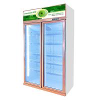China Vertical Commercial Two Defogging Glass Doors Beverage Display Freezer with Auto Defrost Fan Cooling and Adjustable Shelves for sale