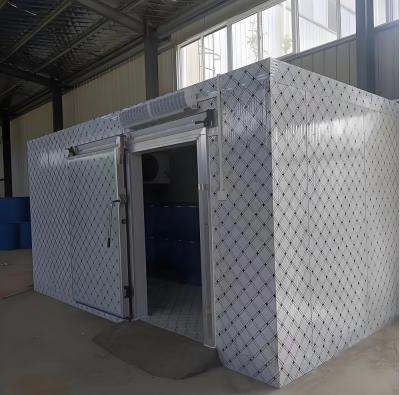 China Easy Install Walk-In Cold Storage Room Freezer for Beef And Lamb PU panel Cold Room for sale