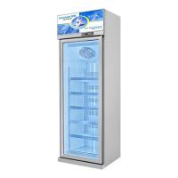 China Convenience Store Single Door Commercial Refrigerated Storage Display Freezer for sale