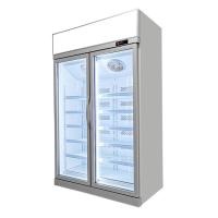 China Vertical Two Glass Door Freezer For Frozen Storage Display Fridge for sale